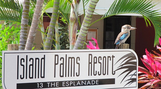 island-palms-resort-reception-header | Island Palms Resort
