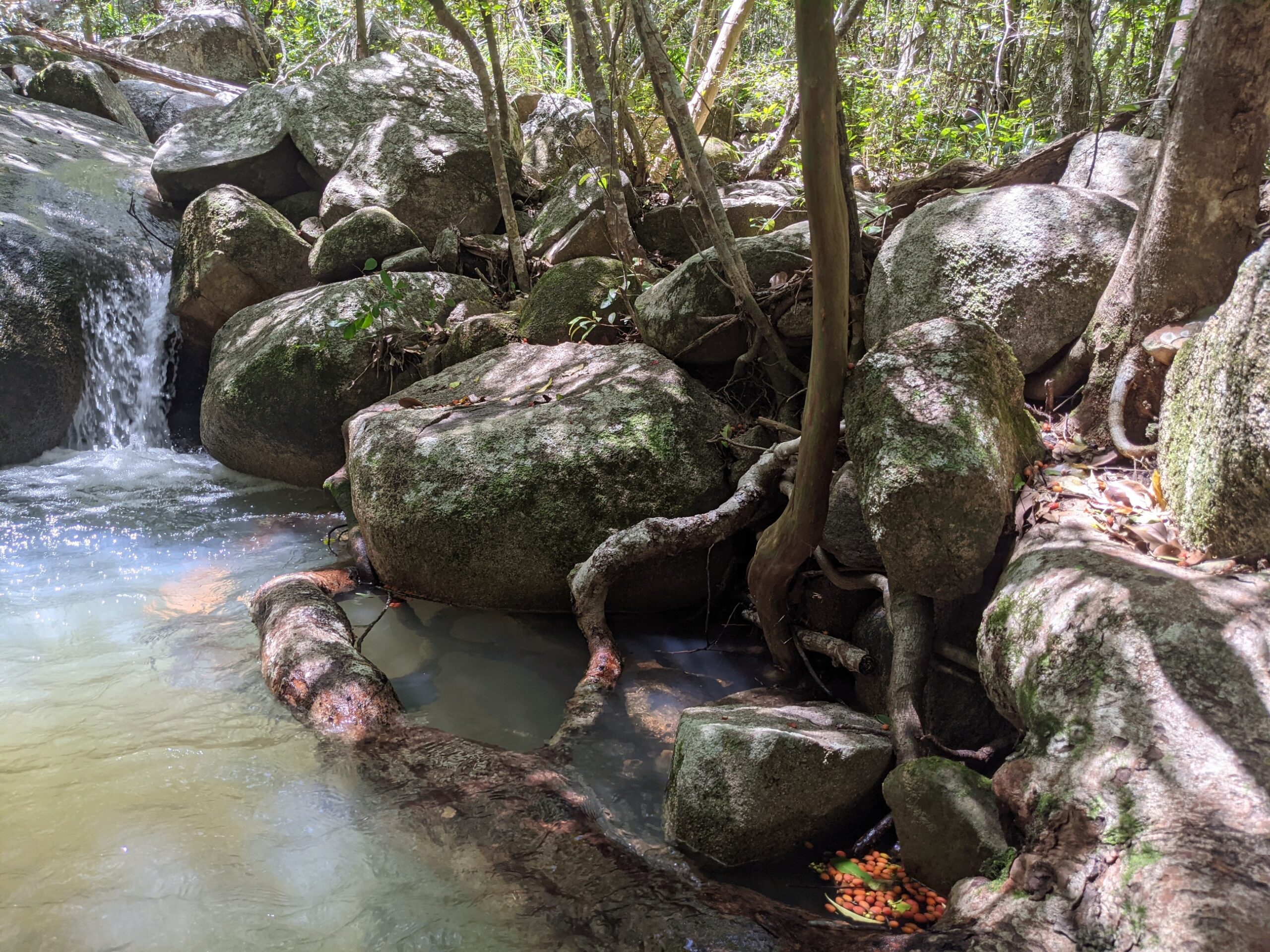 Gallery | Island Palms Resort